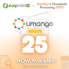 Umango: Experience Seamless DocuWare Integrations